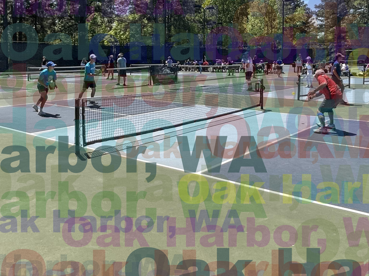 Oak Harbor Pickleball: Where to Play & Get Started